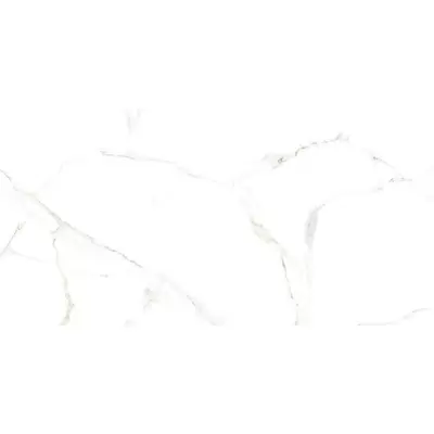 Купить Velsaa Satvario Light White 60x120 в Москве по низким ценам в каталоге GresLux