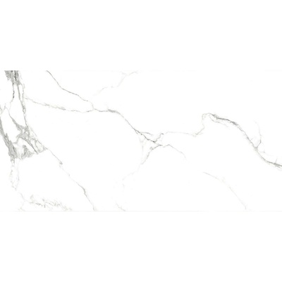 Керамогранит Absolut Gres Statuario AB 1124G Titan Gloss 60x120 – купить в Москве недорого, цена ...