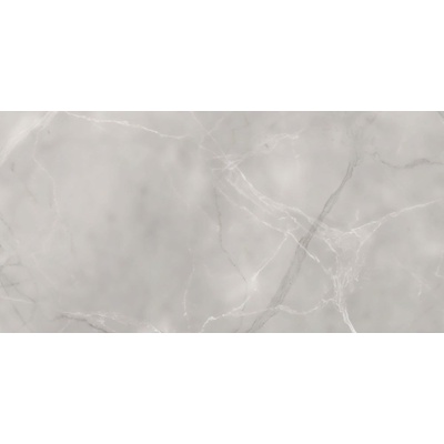 Керамогранит Absolut Gres Armani Gris Polished 60x120 – купить в Москве недорого, цена на товары ...